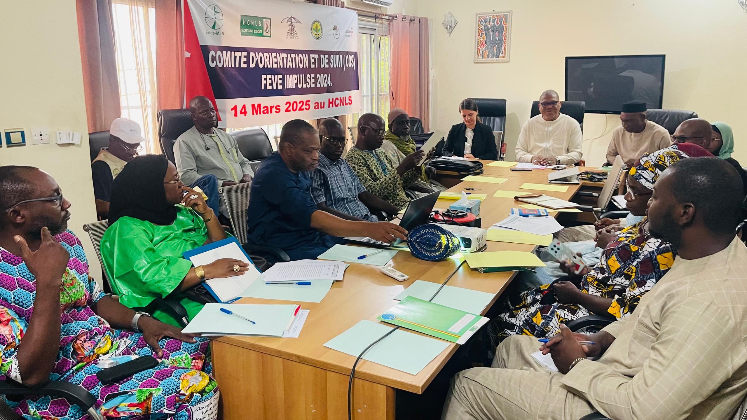 Programme FEVE Impulse : bilan des réalisations 2024 et perspectives ...